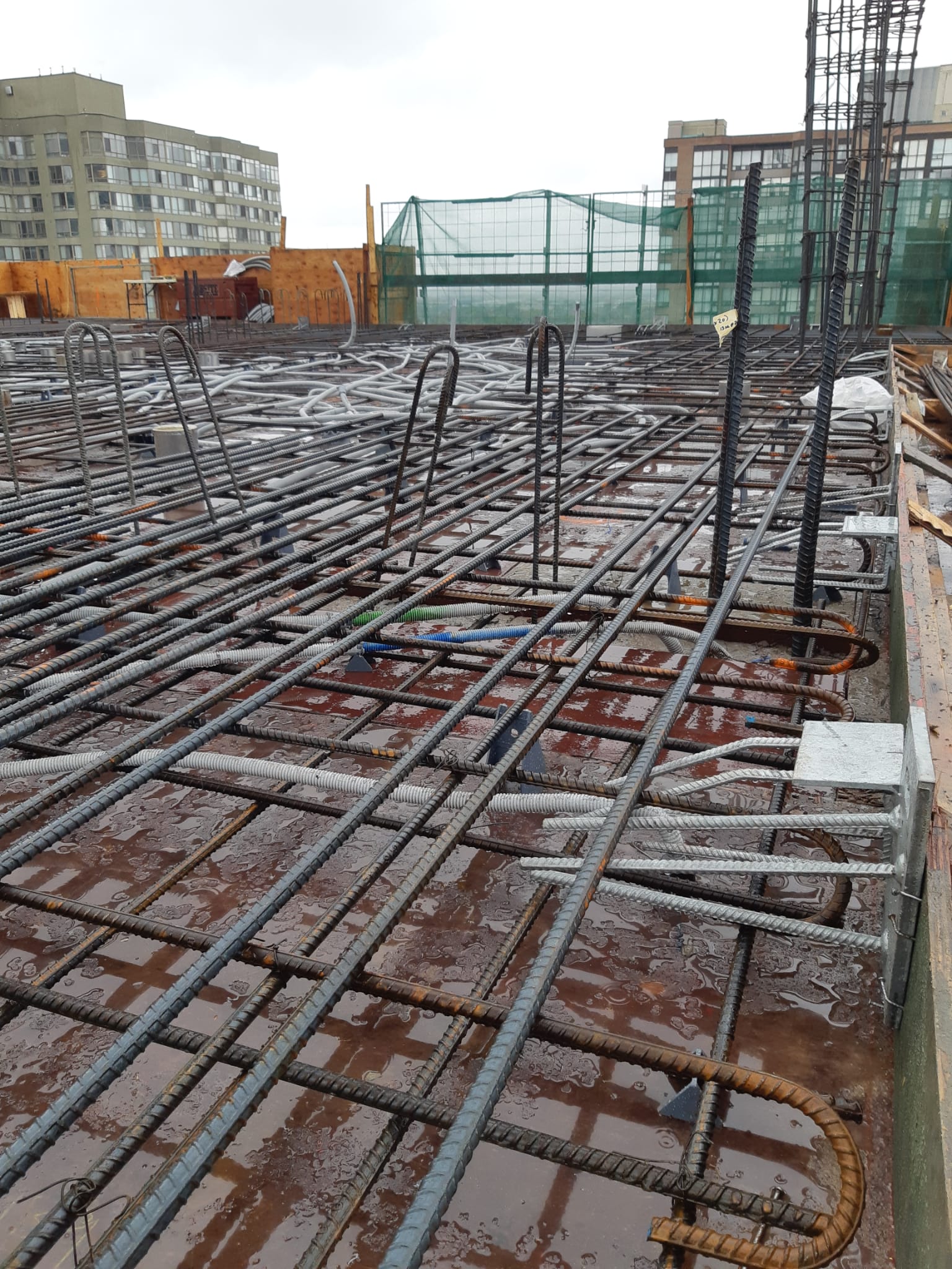 185 Enfield - Ever Safe