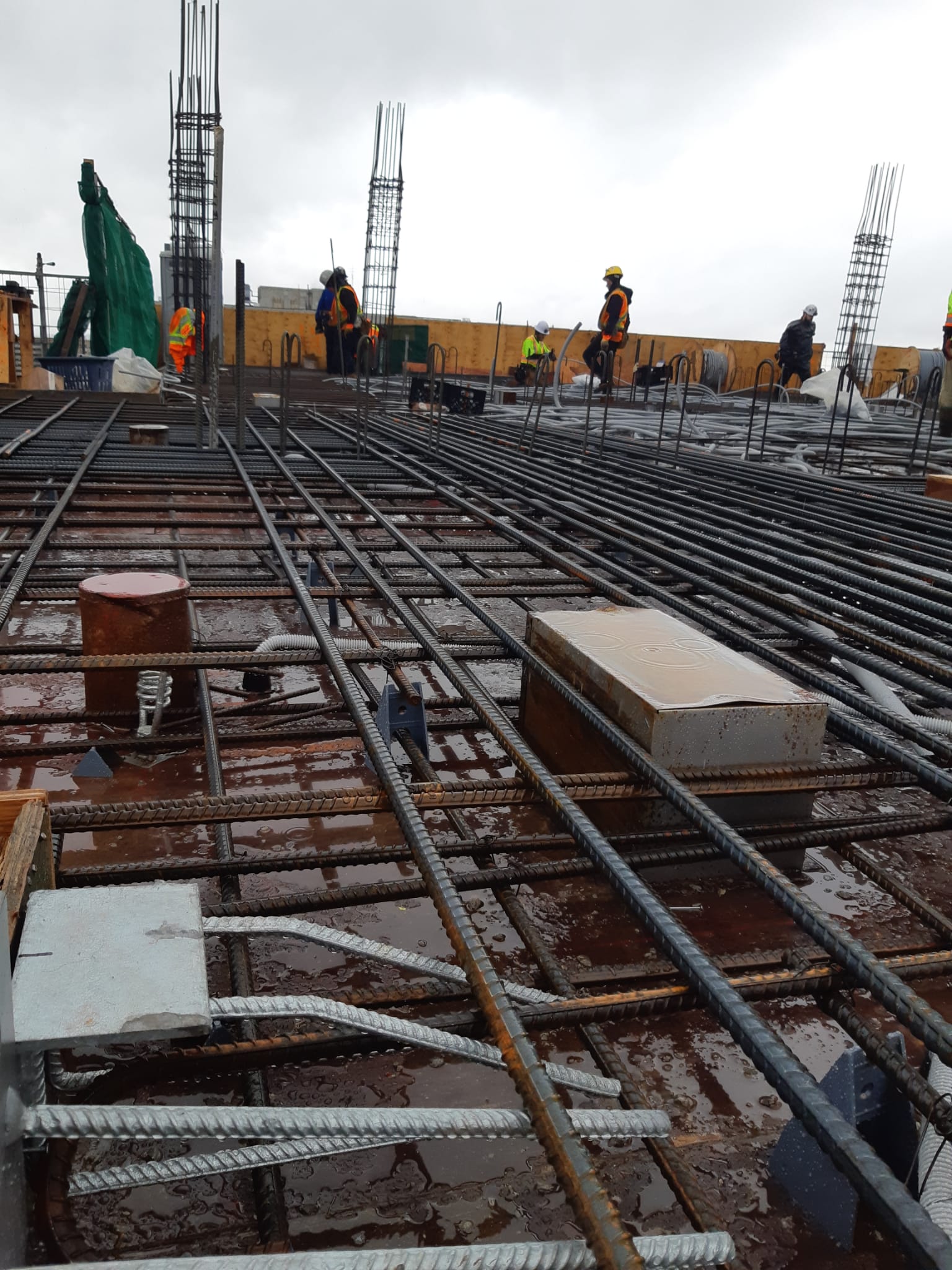 185 Enfield - Ever Safe