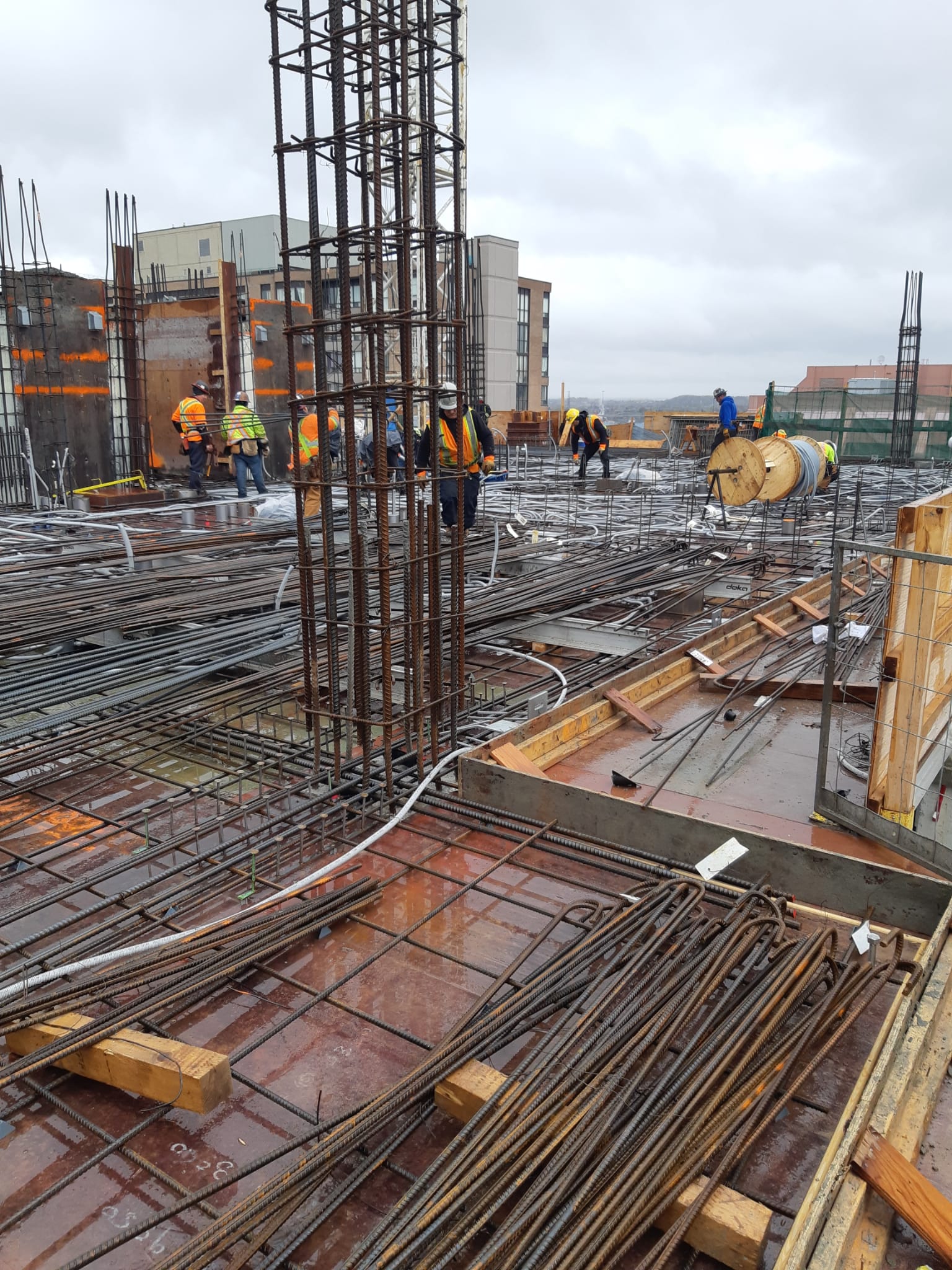 185 Enfield - Ever Safe